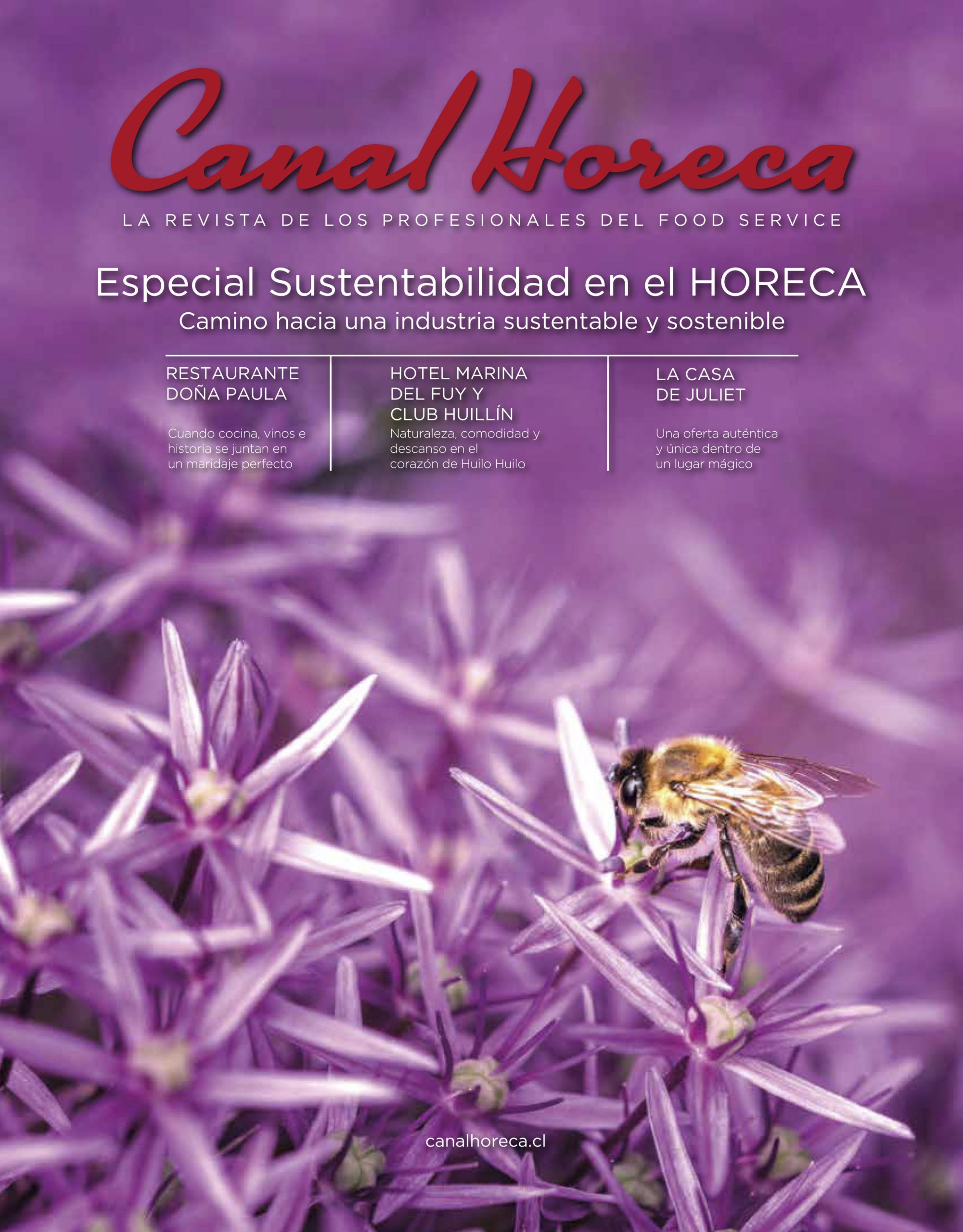 Ediciones Online – Canal Horeca